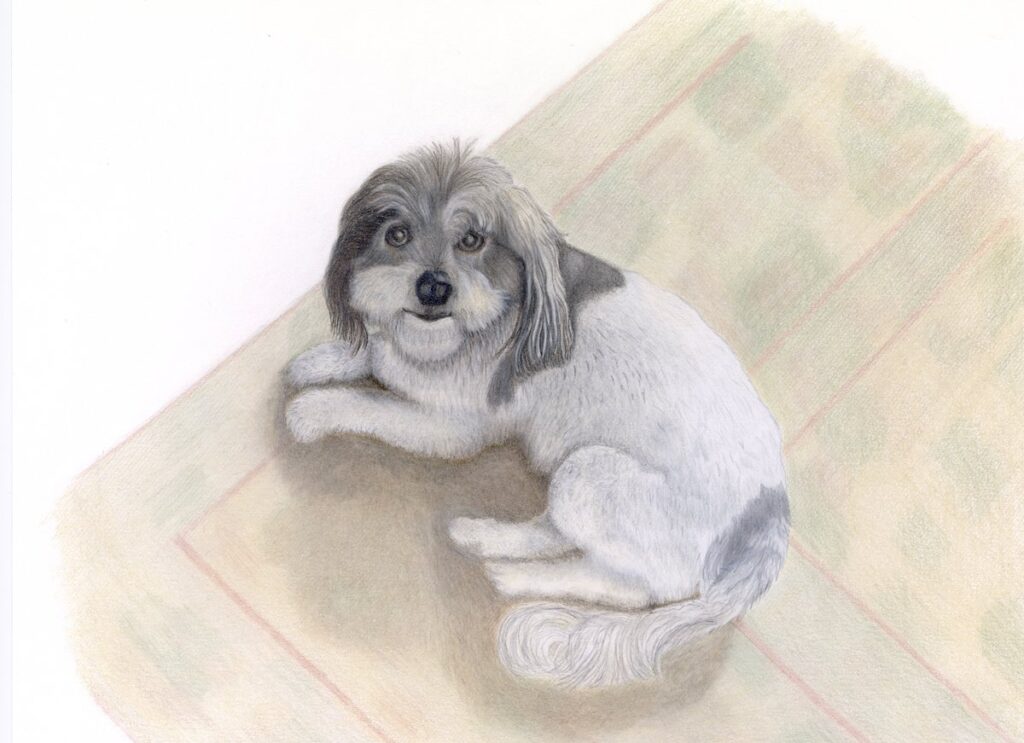 Home - Hillcrest Art Studio - Artists Rick, Margo, Niko Casados